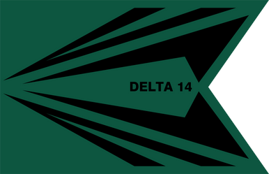 Official United States Space Force Guidon - Space Futures Command ...