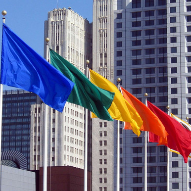 Solid-Color Nylon Flag - Eagle Mountain Flag