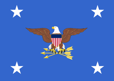 Secretary of Defense Flag, Nylon Applique Size 7 (1'10" x 2'8") with ...