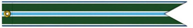 Coast Guard 2 3/4" X 4' Coast Guard Meritorious Unit Commendation