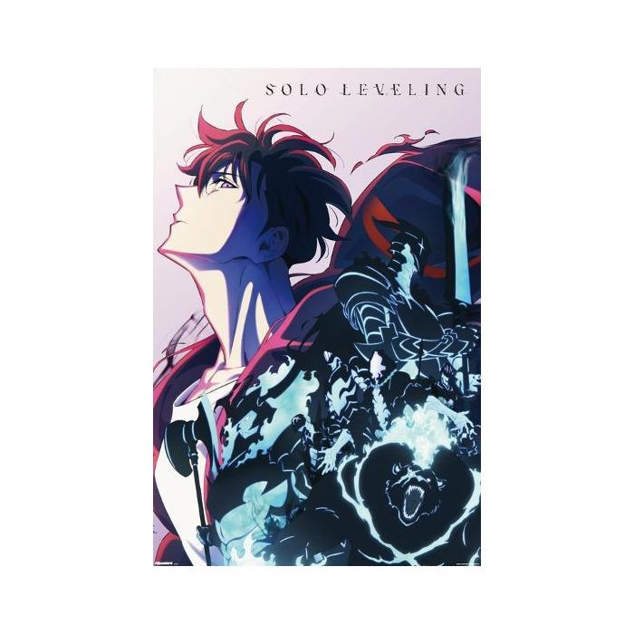 Posters: Solo Leveling - Tower of Games
