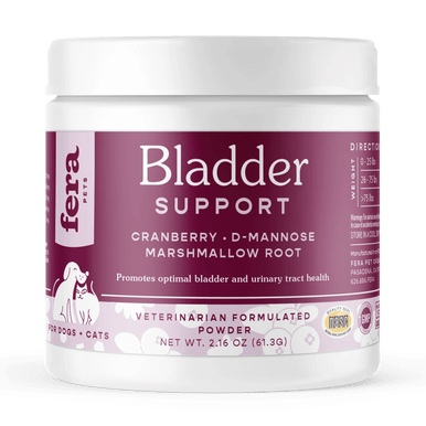 Bladder Support