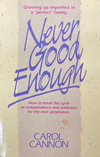 Never Good Enough / Cannon, Carol / (PB/1998-1998/B+/USED) - TEACH ...