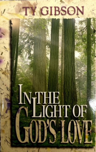 In the Light of God's Love / Gibson, Ty Forrest / (PB/1996-1996/New ...