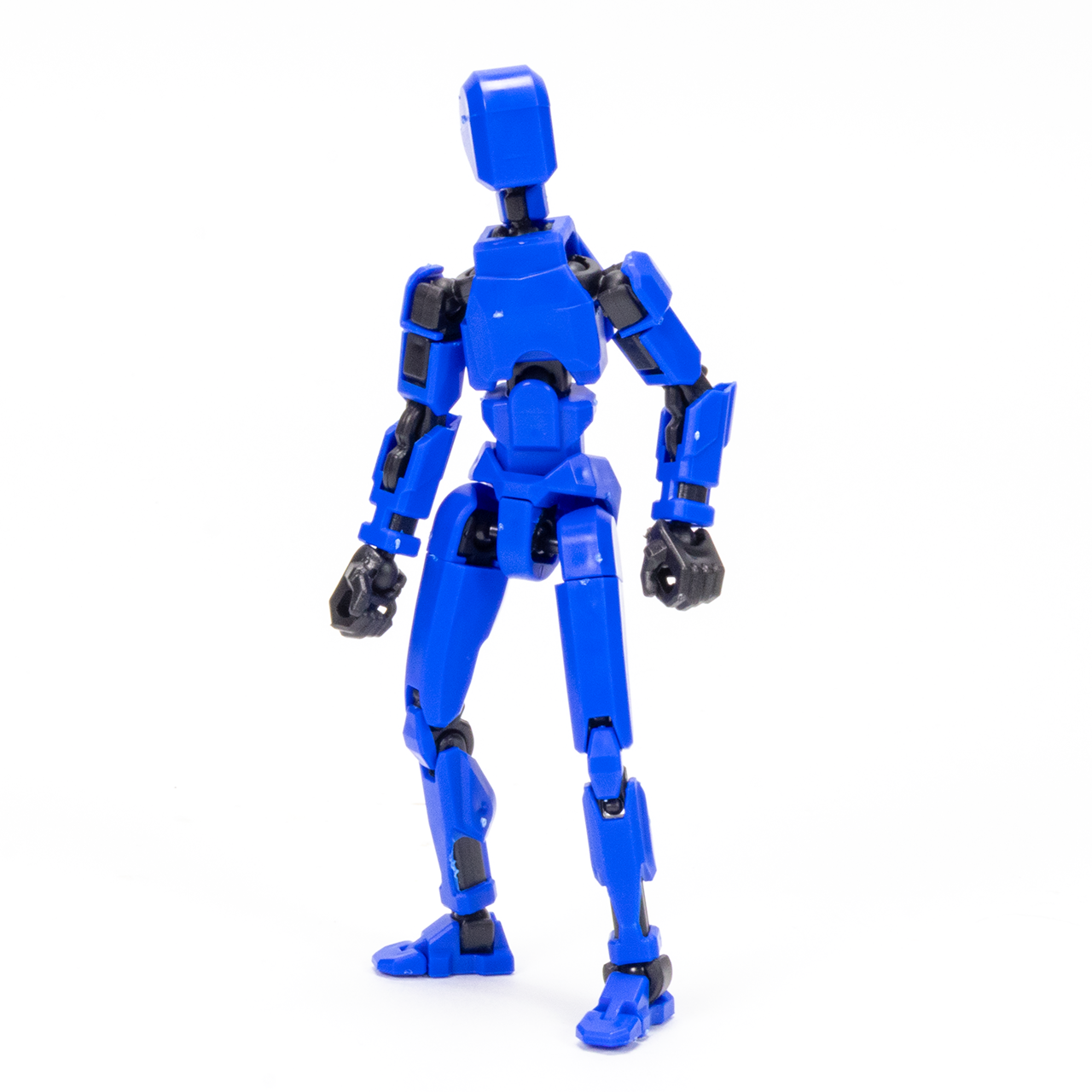 Dummy 13 Action Model