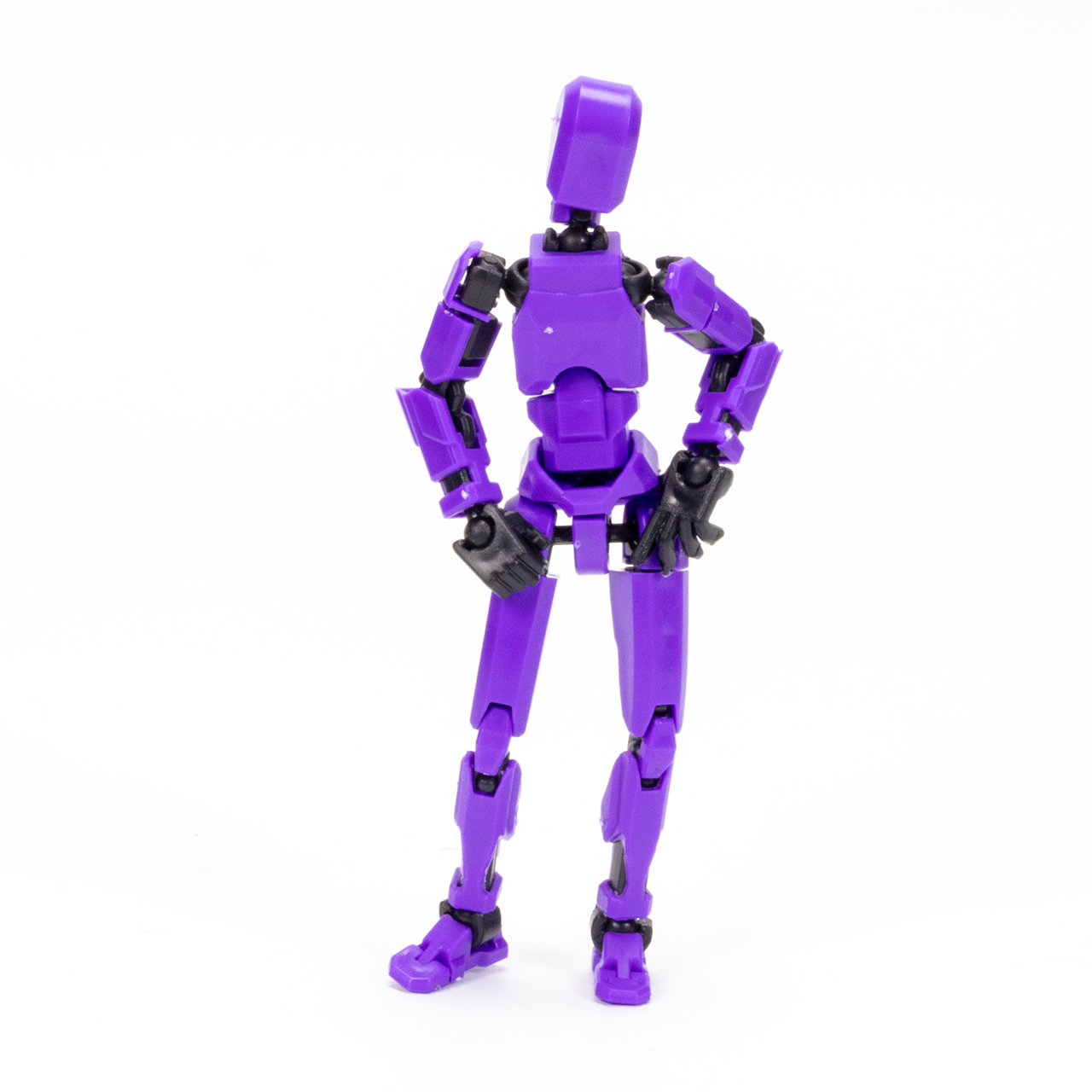Dummy 13 Action Model