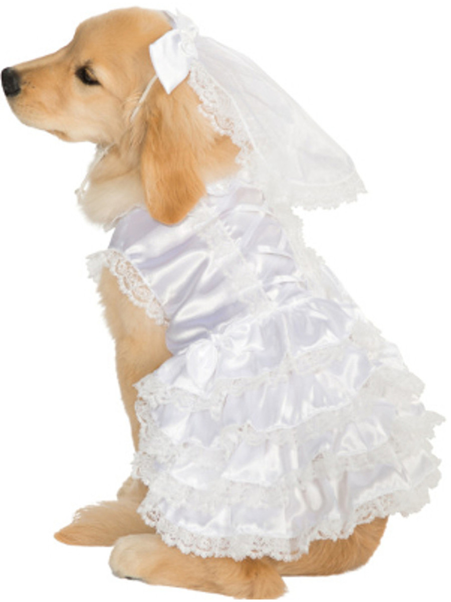 Wedding Bride Dog Costume