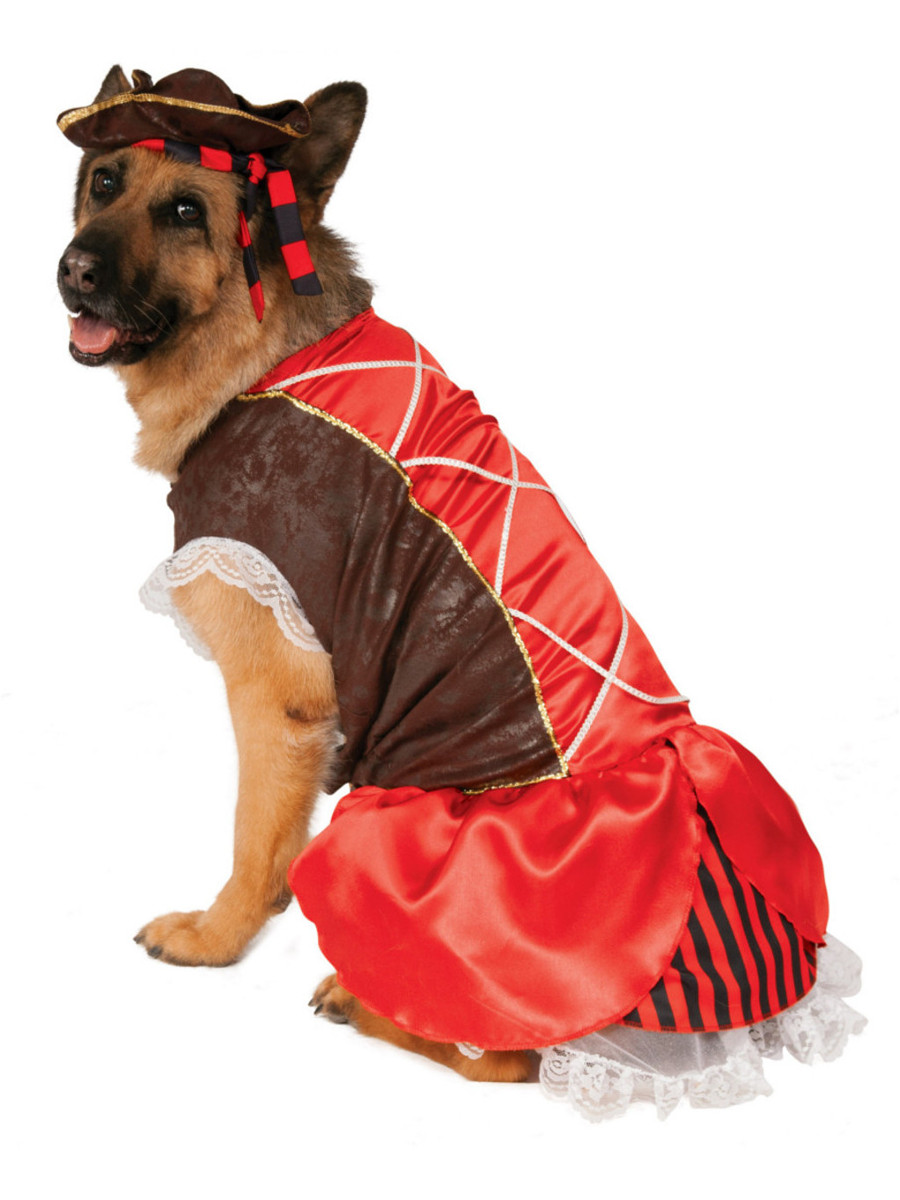 Big Dogs Pirate Girl Dog Costume