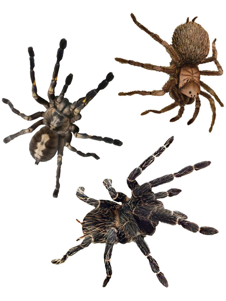 3-D Spider Window Stickers