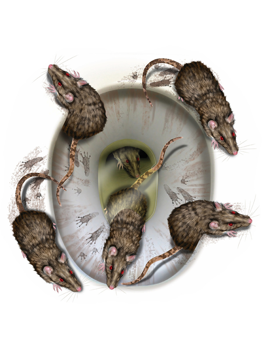 Removable Bathroom Rats Toilet Seat Sticker