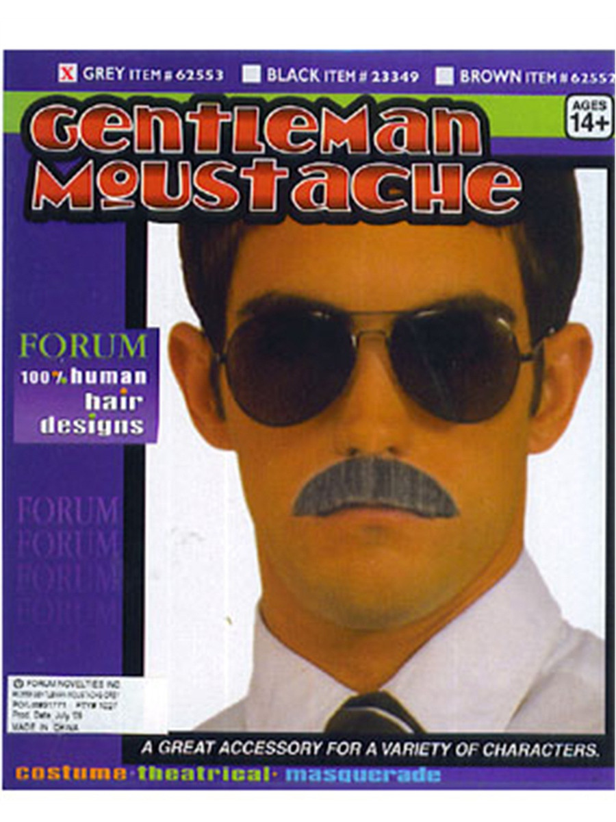 Grey Gentleman's Moustache