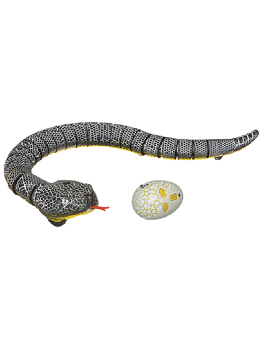 Remote Control Snake Toy