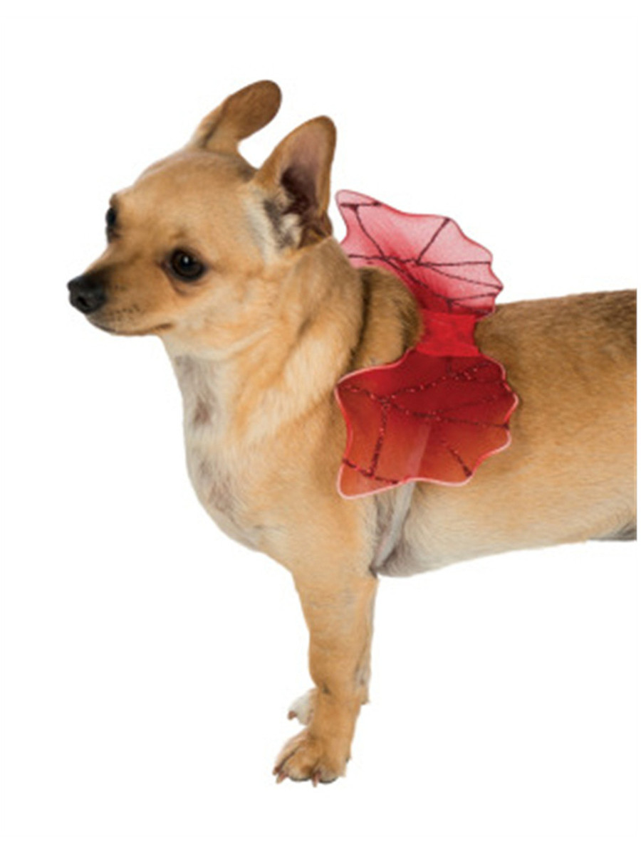 Dog's Devil Wings