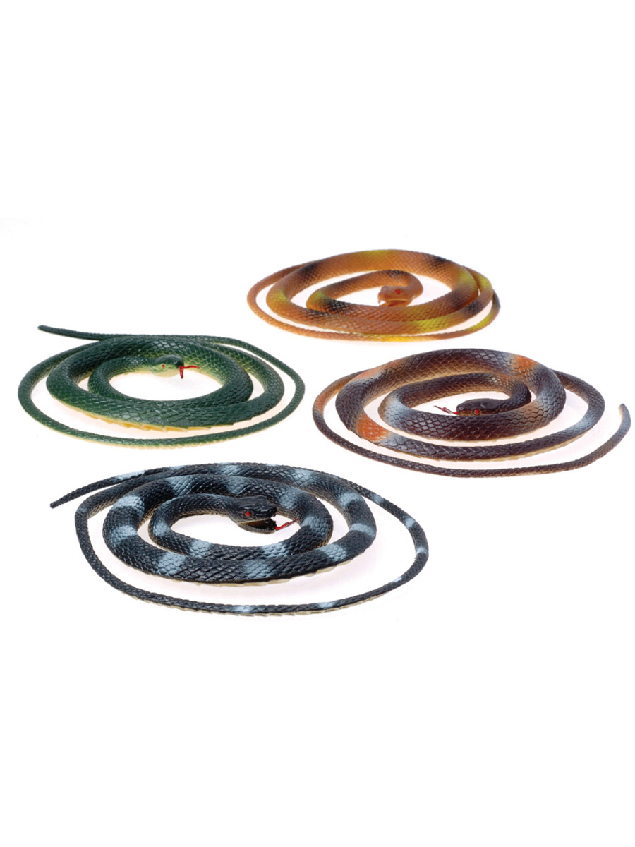 Coiled Snakes 12 Pack