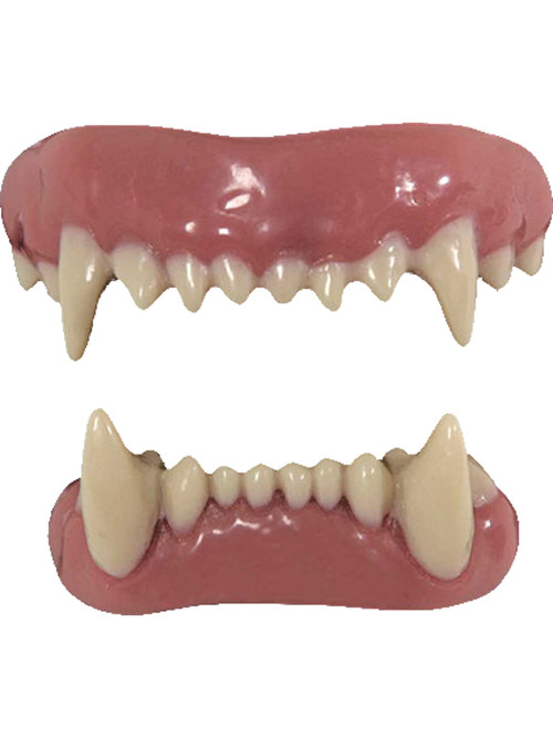 Custom Fitting Mold Animal Teeth