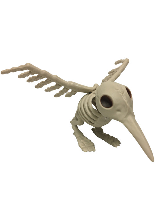 Small Hummingbird Skeleton