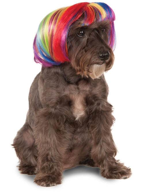 Rainbow Wig For Pet Dog