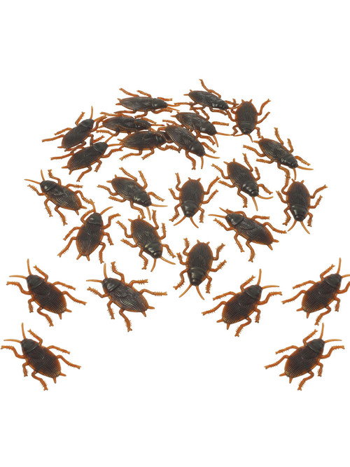Pack Of 72 Toy Cockroaches 2 Inch