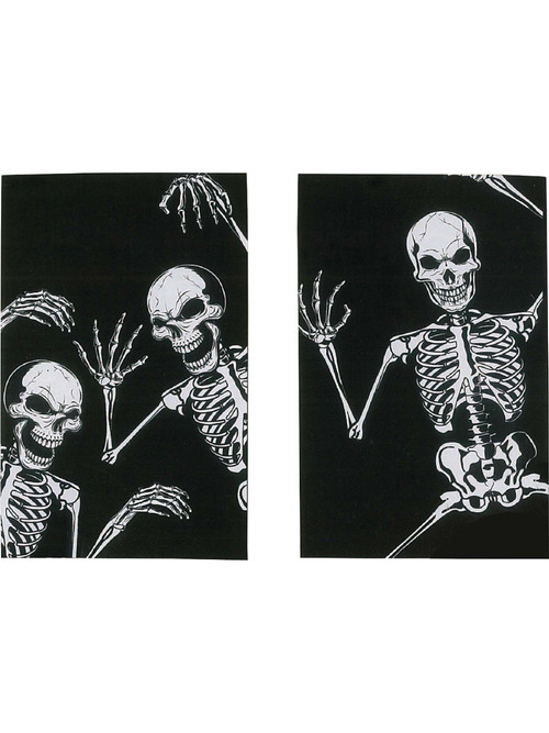 Skeleton Window Poster