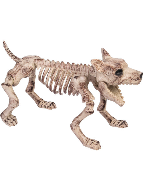Small Dog Skeleton