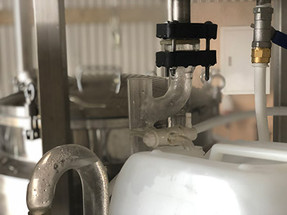 The Essence of Flower Water: Uses and Benefits in Natural Skincare ...