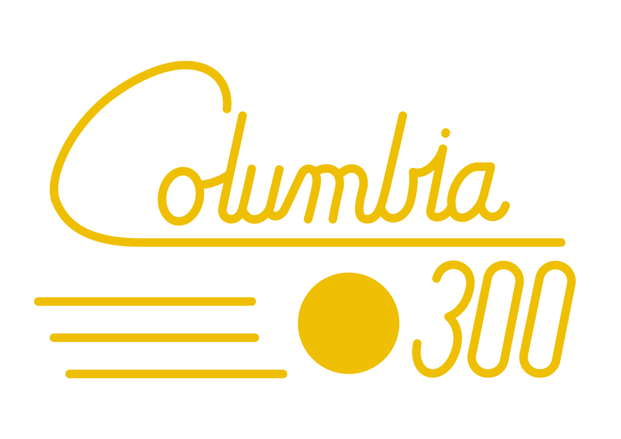 Columbia 300 Gold Dot Bowling Ball - Charcoal - Polyester - 123Bowl