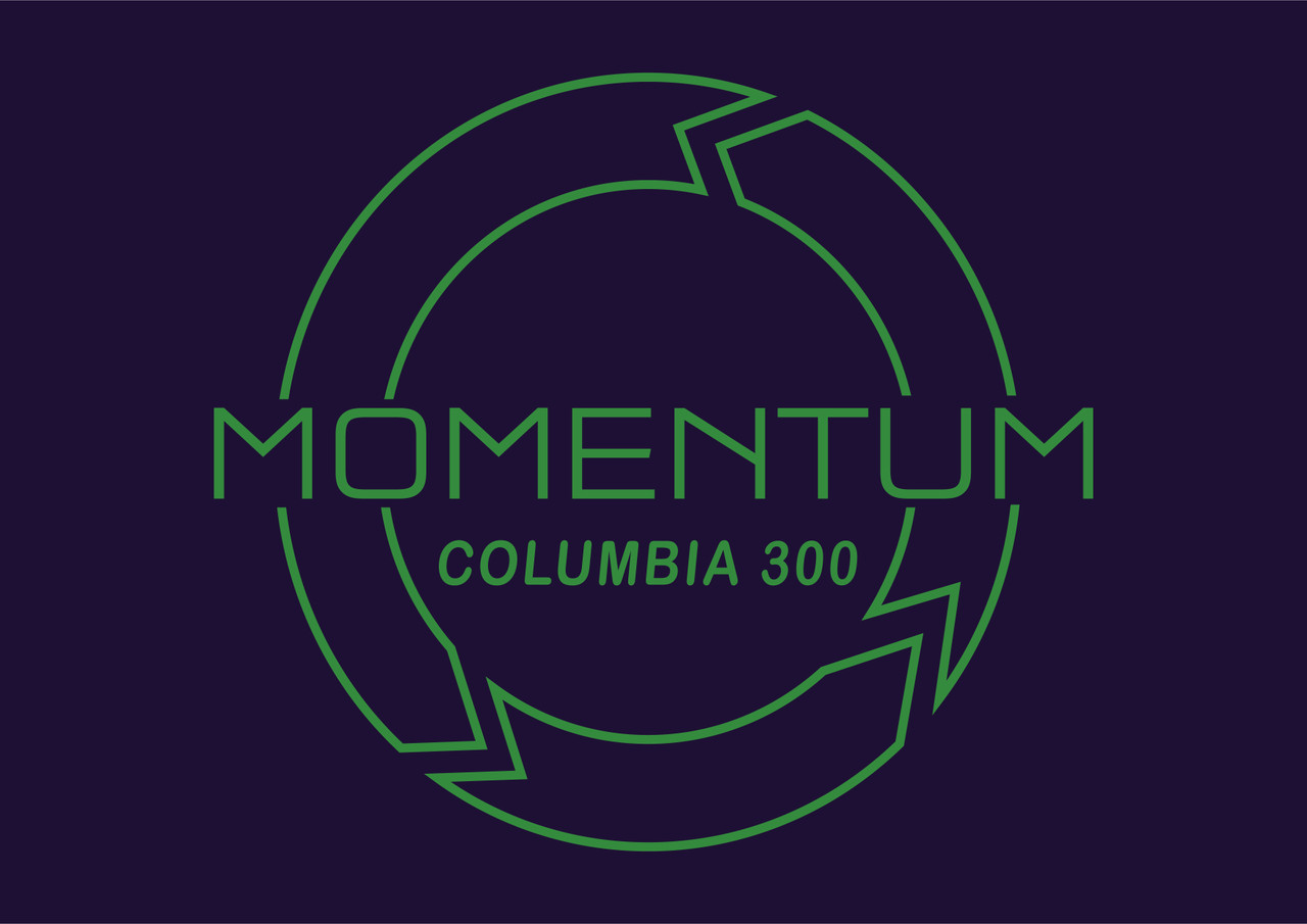 Columbia 300 Momentum Bowling Ball - 123Bowl