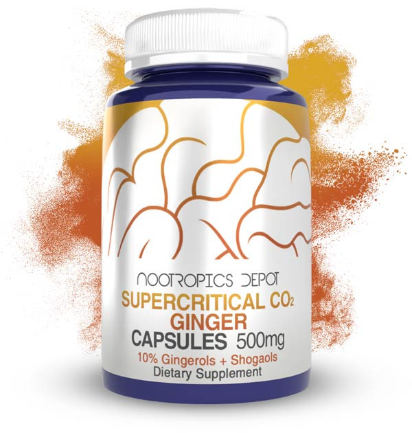 Ginger Extract Capsules | 500mg | Minimum 10% Gingerols & Shogaols
