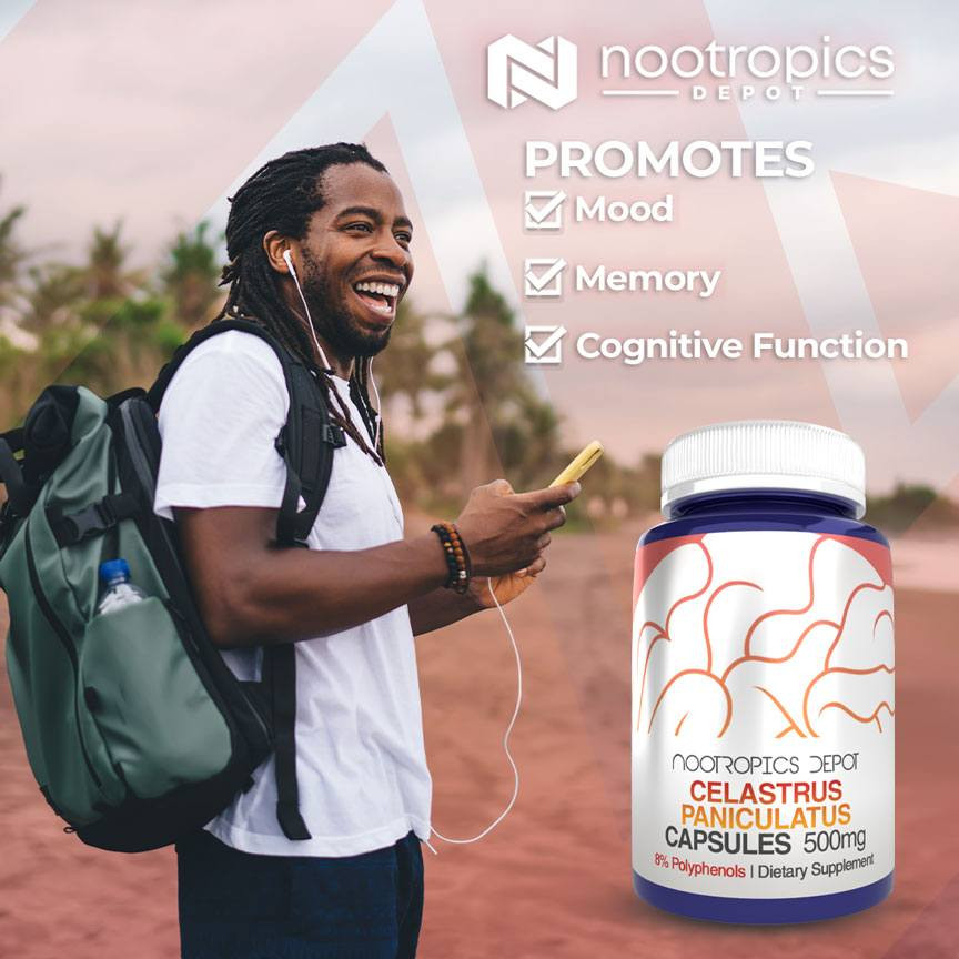 Celastrus Paniculatus Extract Capsules | 500mg | Minimum 8% Polyphenols ...