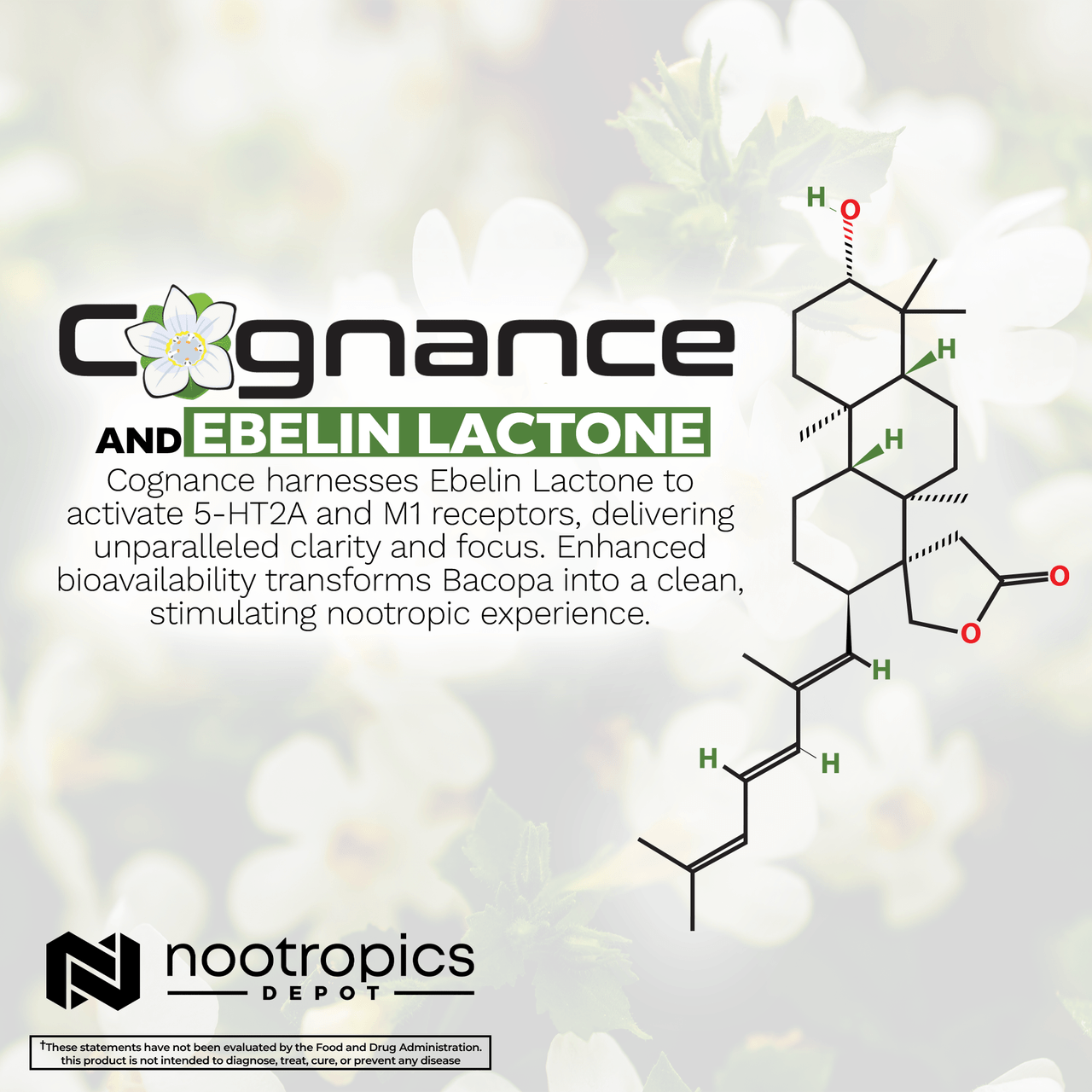 Cognance Enhanced Bacopa Capsules – Advanced Bacopa Monnieri for Memory ...