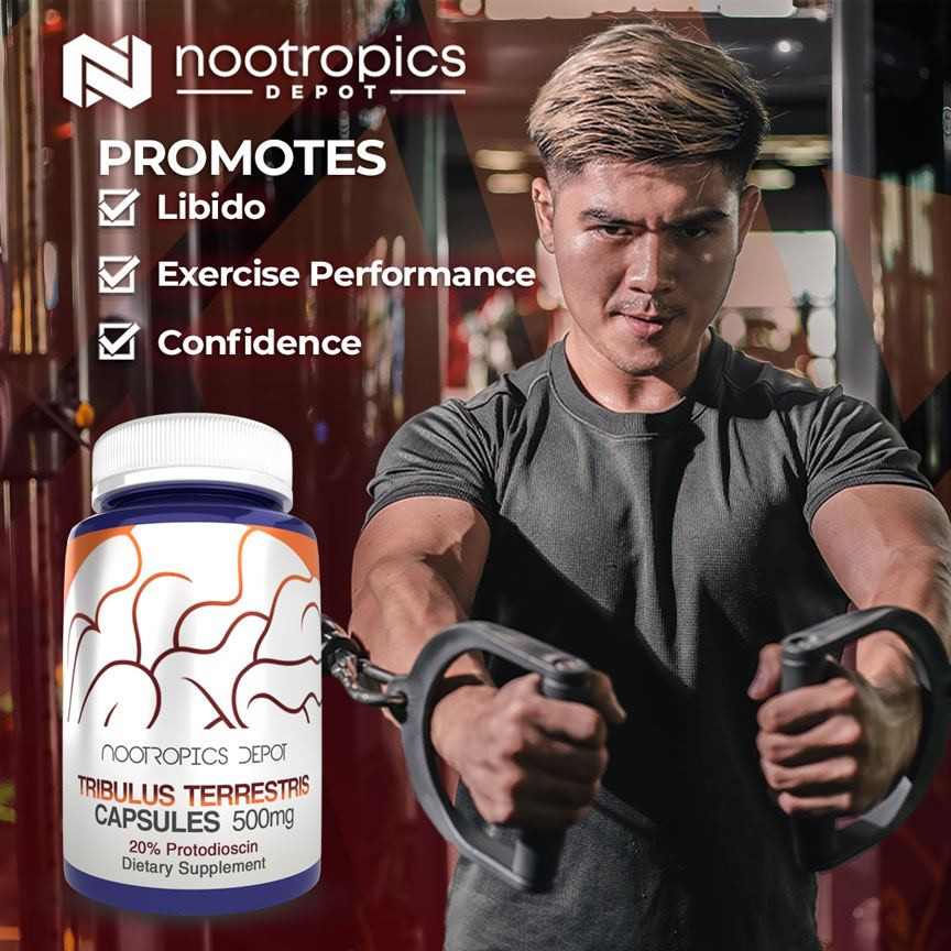 Tribulus Extract Capsules | Tribulus terrestris