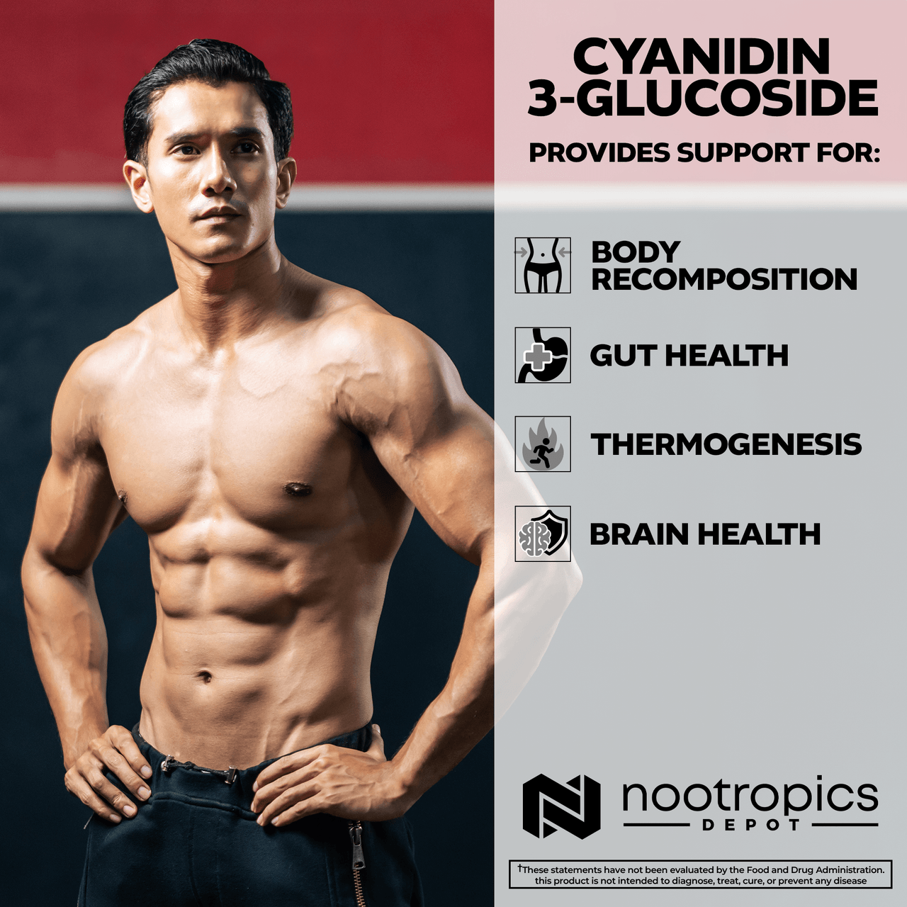 Cyanidin 3-Glucoside Capsules | 125mg | Black Rice Extract | Oryza ...