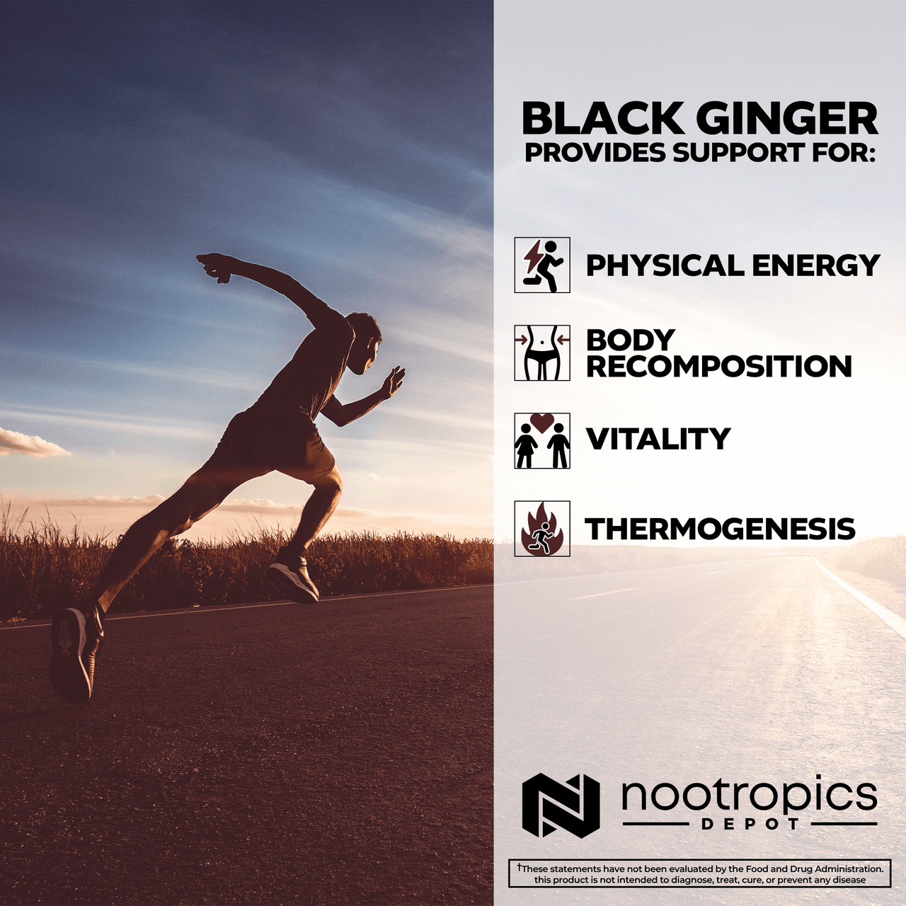 Black Ginger Extract Capsules | 10% 5,7-dimethoxyflavone