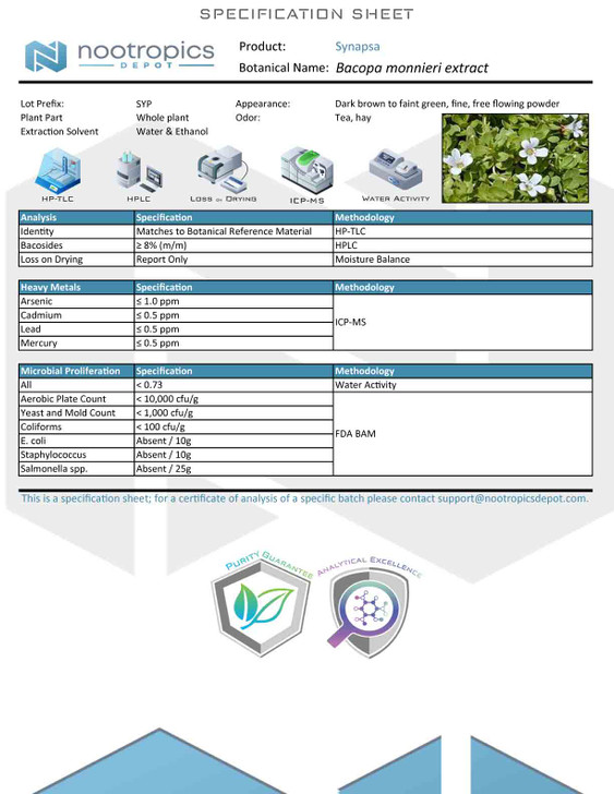 Buy Synapsa Bacopa Monnieri Extract Powder | View Benefits and Reviews