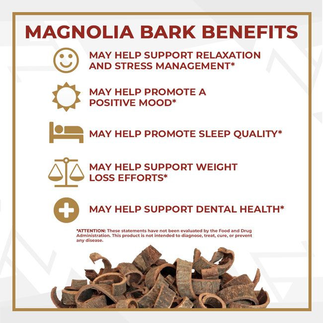 Buy Magnolia Bark Extract Powder | Magnolia officinalis Benefits