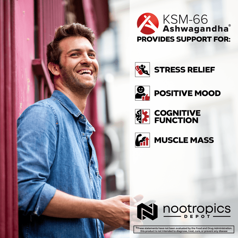 Buy KSM-66 Ashwagandha Extract Capsules 300mg | Read Benefits and Reviews