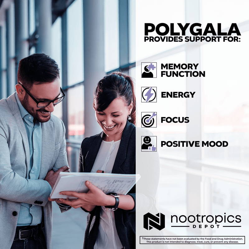 Buy Polygala tenuifolia Extract Capsules | Polygala tenuifolia Benefits