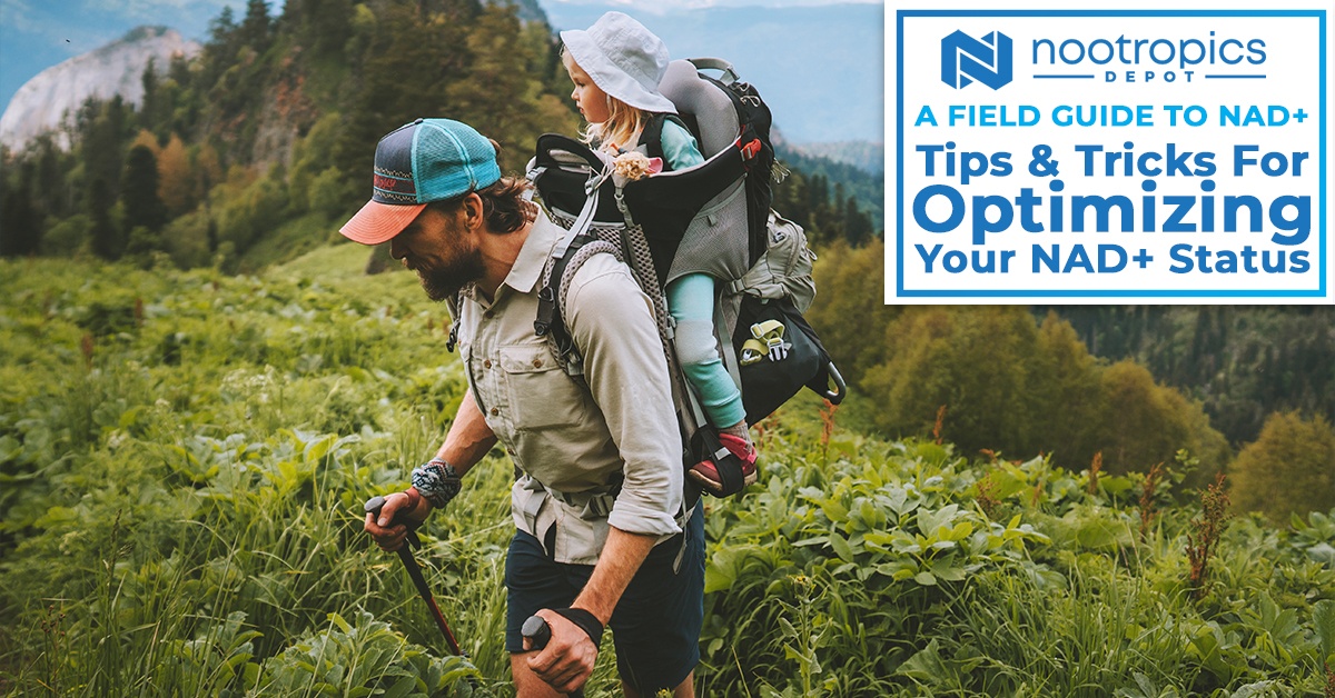 A Field Guide To NAD+ | Tips And Tricks For Optimizing Your NAD+ Status ...