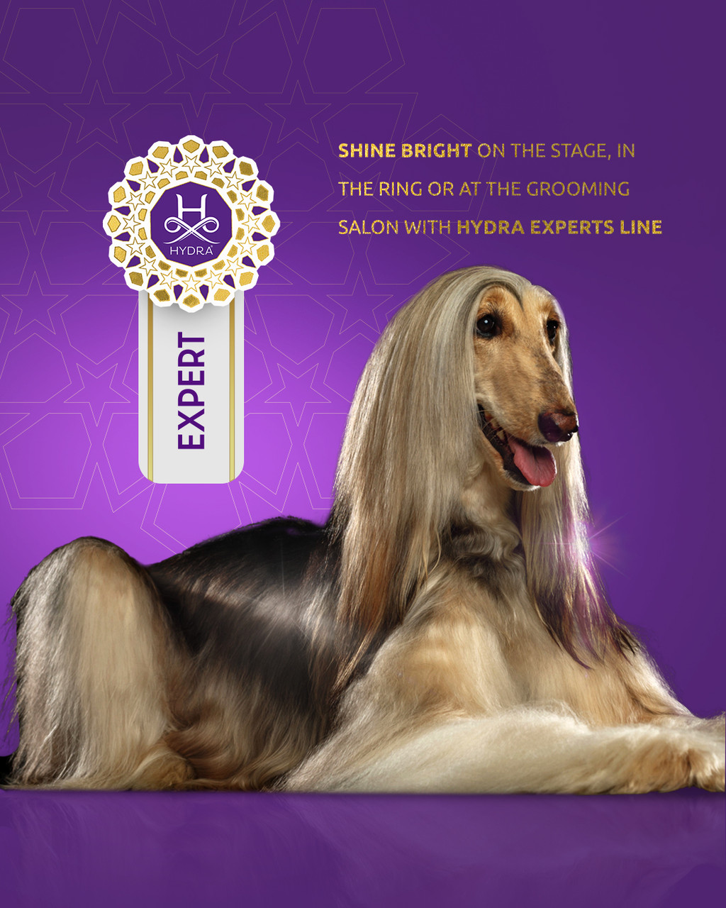 Hydra Expert Grooming Powder | Love Groomers