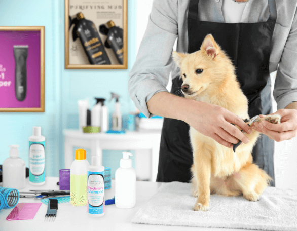 How to Upsell Clients on Additional Grooming Services - Love Groomers