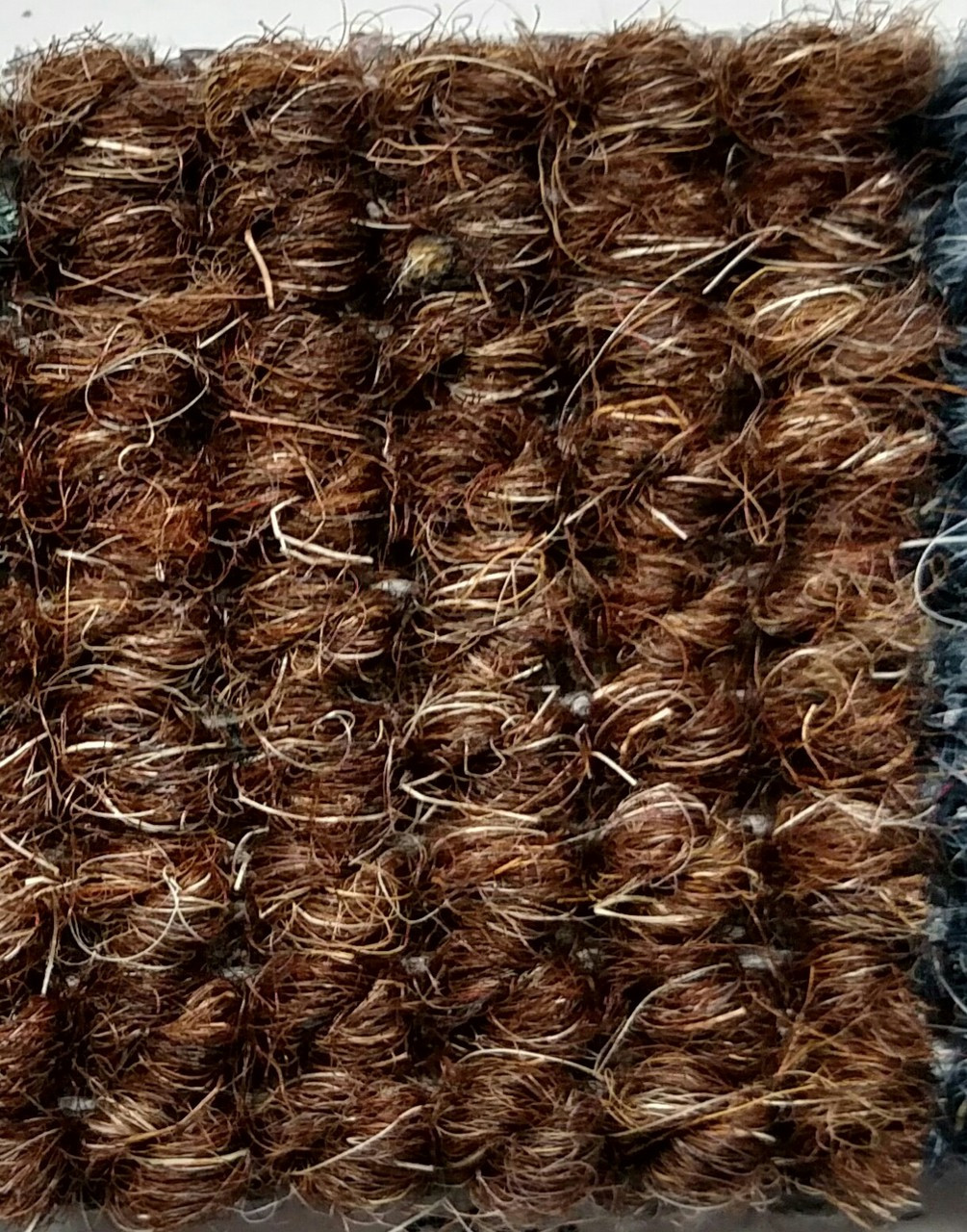 Imported German Wool Square Weave Carpet 65" - 503 Brown*NOTICE* - J ...