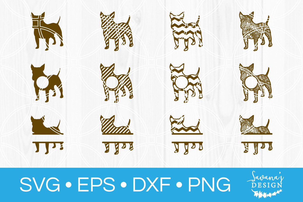 Animal Monogram SVG Bundle