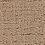 Karastan Delicate Path Smartstrand Silk Carpet Flooring Karastan Keck ...