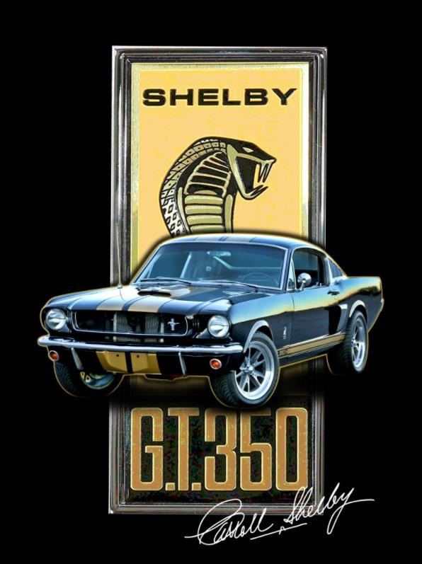 Vintage Goods Apparel 1965 Shelby Mustang GT350H T-Shirt, Various Sizes ...