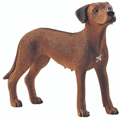 Schleich Rhodesian Ridgeback | Toymate | Animals & Dinosaurs