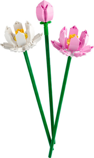 LEGO Lotus Flowers 40647 | Toymate