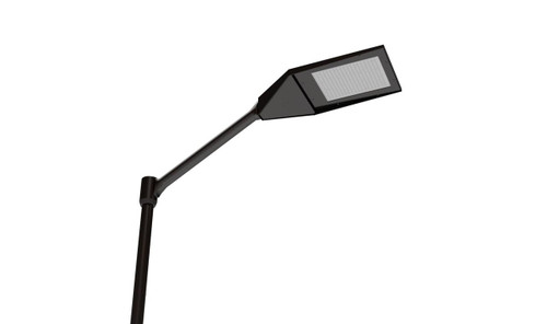 20 ft Single Head LED-VCL Volleyball Light - VolleyballUSA.com / United ...