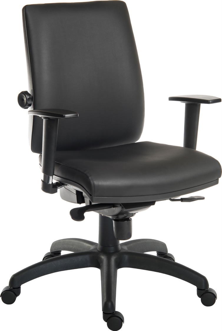 Ergo Plus 24 - The Chair Clinic Ltd