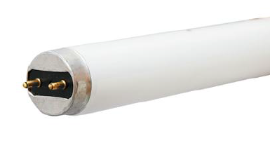 F32T8/765 32W 4 ft. Fluorescent Tube, Daylight