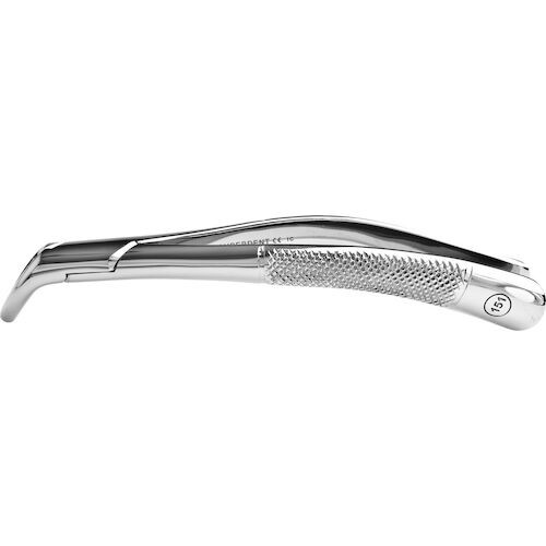Stainless Steel Extraction Forceps #151 - Dental Wholesale Direct